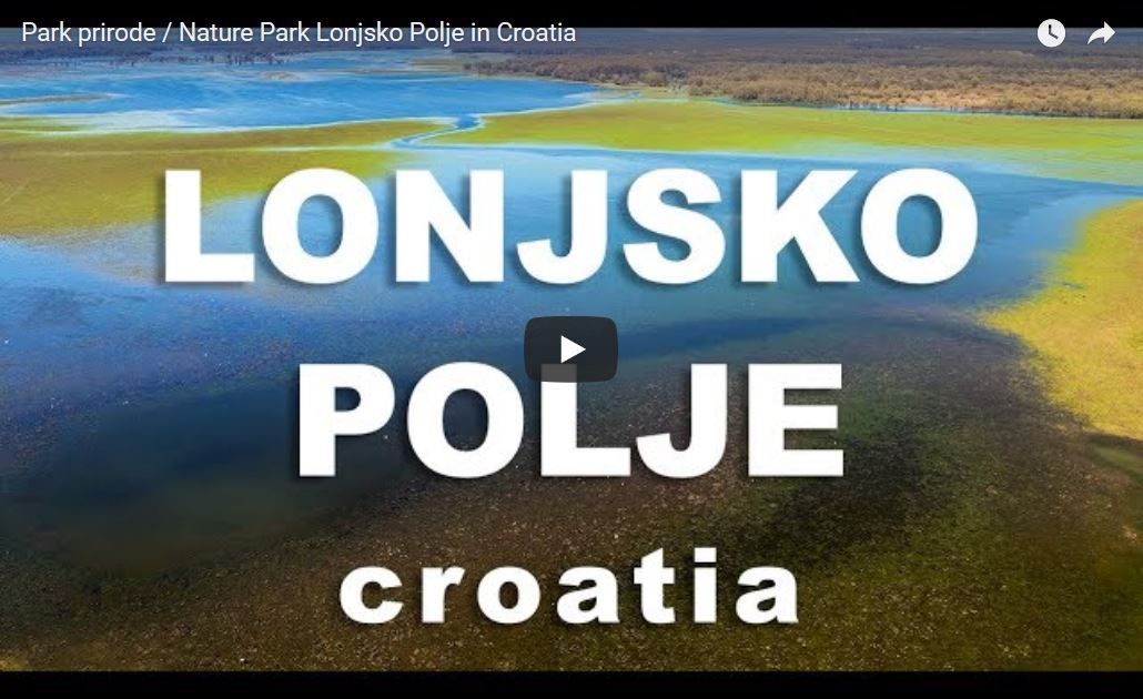 Video: Nature Park Lonjsko Polje in Croatia | Save the Blue Heart of Europe